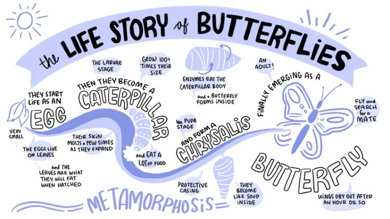 How to tell and DRAW stories with simple visual techniques | Ink Factory